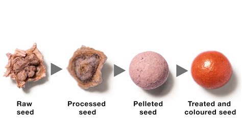 EPD Sugar Beet Products KWS UK Ltd