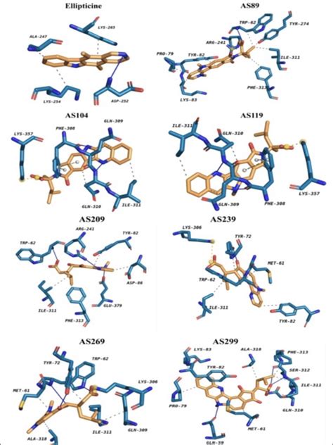 Binding Interactions Between Ligand And Receptor Through Grid Based Docking Download