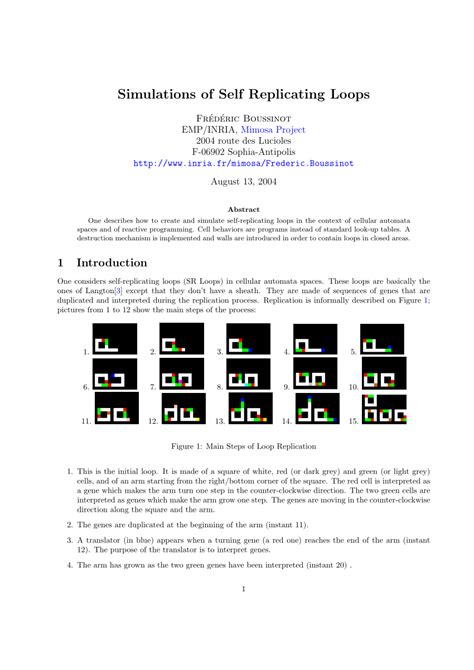 pdf simulations of self replicating loops