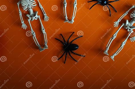 Big Spider Next To Skeletons Stock Illustration Illustration Of
