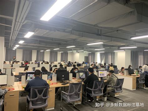 有公司可以做大语言模型数据集标注吗？ 知乎