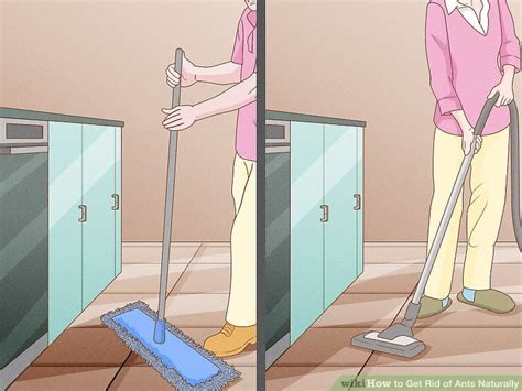 6 Ways To Get Rid Of Ants Naturally WikiHow 6 Ways To Get Rid Of Ants Naturally WikiHow