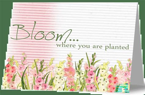 Spectrogram Anchor With The Wave Filter Digital Scrapper