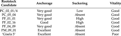 Qualitative Traits Of Investigated Trees Grafted On Different Rootstock Download Scientific