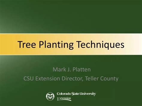 PPT Tree Planting Techniques PowerPoint Presentation Free Download ID 1559405