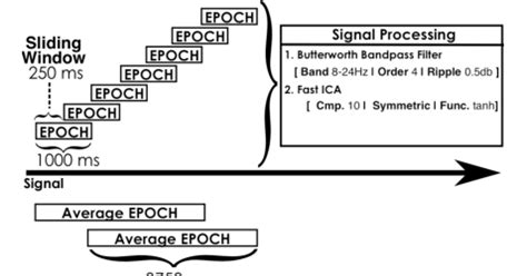 Signal Epoch Segmentation And Averaging In Our System Download Scientific Diagram