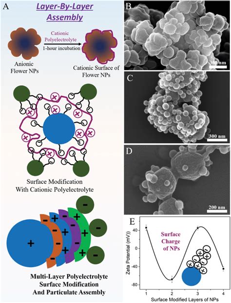 Layer‐by‐layer Surface Modification With Alternatively Charged