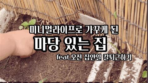 미니멀라이프로 가꾸게 된 마당 있는 집 오전 집안일 칼퇴근하기 미니멀라이프 여유 시간 텃밭 가꾸기 Youtube