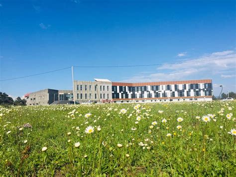 🟢 ასეთი დაგვხვდა დღეს ზემო სერზე ახალი ბანა • New Bana