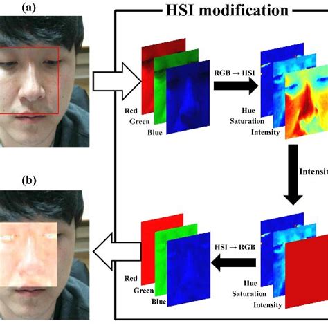 Basic Scheme Of The Hsi Modification Three Steps 1 Transformation Download Scientific