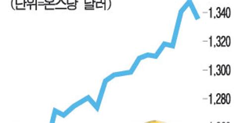 금값 폭락고공행진 숨고르기