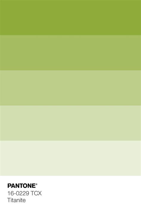 Pantone 16 0229 Tcx Titanite Colour Tint · Hint Of Green Spring Color