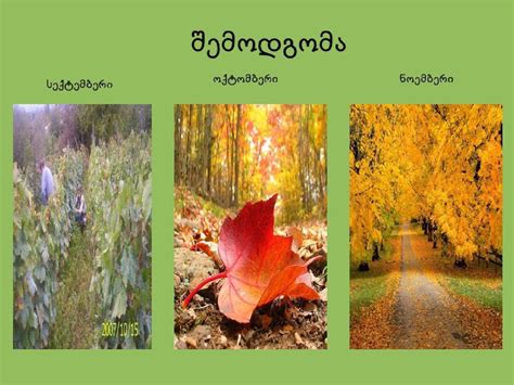 Calaméo შემოდგომის ზეიმი