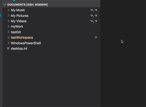 Remote Ssh Windows Paths Are Not Well Formatted · Issue 1599 · Microsoftvscode Remote Release