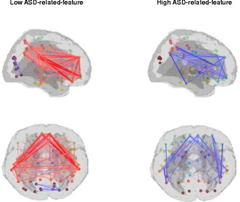 Functional Connectivity Patterns Of Autism Spectrum Disorder Identified