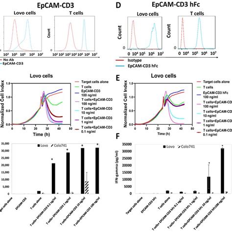 Epcam Cd3 And Epcam Cd3 Human Fc Antibodies Bind To Epcam Positive