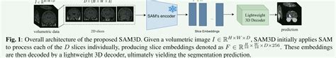 【论文阅读笔记】sam3d Segment Anything Model In Volumetric Medical Images Csdn博客
