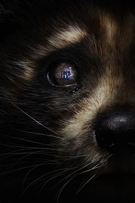 가디언즈 오브 갤럭시 Volume 3 2023 포스터 — The Movie Database Tmdb