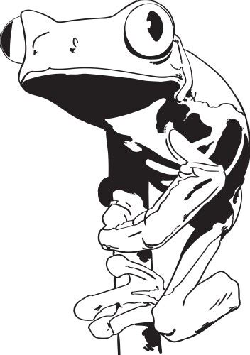 Frog Royalty Free Vector Image VectorStock