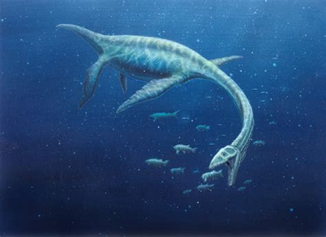 Woolungasaurus Dinopedia Fandom Powered By Wikia