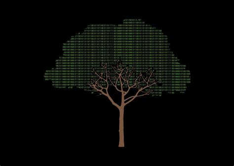 Binary Tree Coder Poster Picture Metal Print Paint By Sebastian