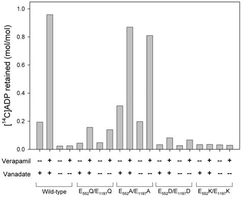 Binding Of Nucleotide To Mutant Pgp After Incubation With 8 14 C Adp