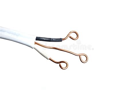 Electrical Cable With Three Wires Prepared For Connection Stock Photo Image Of Plastic Black