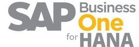 Sap Business One Hana Implementation At ₹ 200000month In Chennai Id