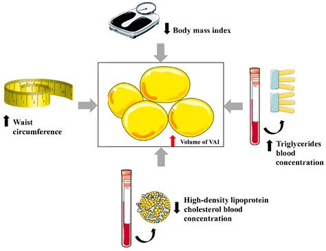 The Visceral Adiposity Index And Its Usefulness In The Prediction Of Cardiometabolic Disorders