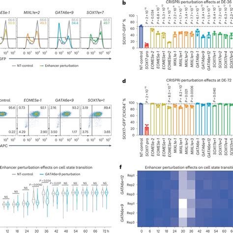 Dynamic Gene Regulatory Network Model A The Schematic Representation Download Scientific