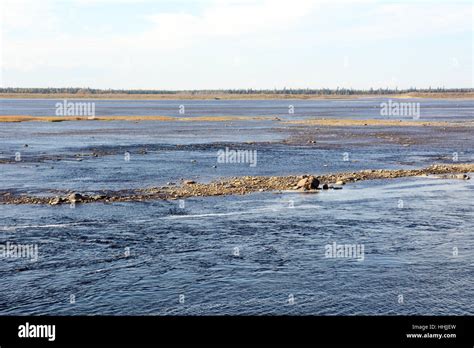 The Banks Of The Moose River Flowing North Through The Boreal Forest