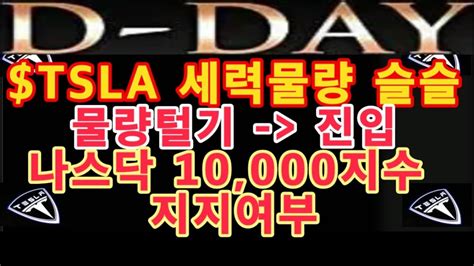D Day Tsla 세력 슬슬 물량털기 후 진입 나스닥 10000 지수 지지여부 테슬라 투자 Tesla 주가 미국주식 Youtube