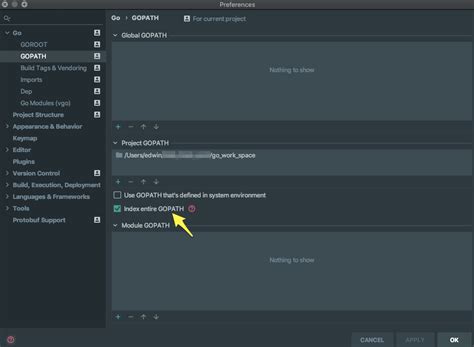 Plugins Why Cant Intellij Idea Import Local Packages In Go Project