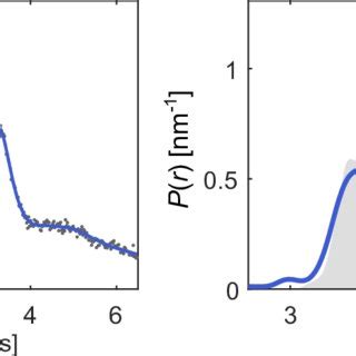 Global Analysis Of A 4 Pulse DEER And A 5 Pulse DEER Signal With Its Download Scientific