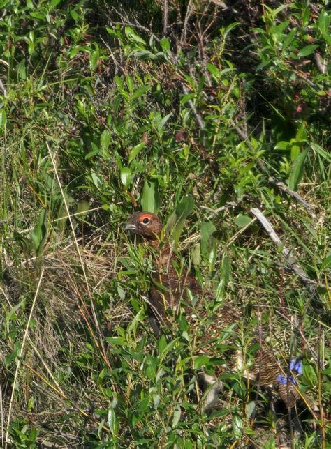 Ryan Bomgardner Ryan Bomgardner Added A New Photo