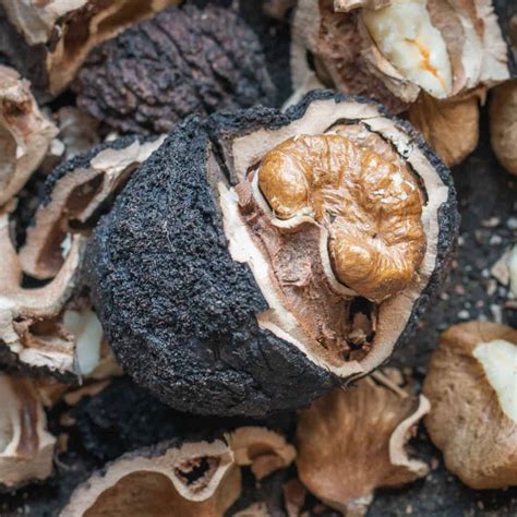 Difference Between Walnut And Black Walnut
