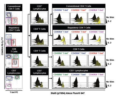 Transcription Factor Phospho Buffer Set