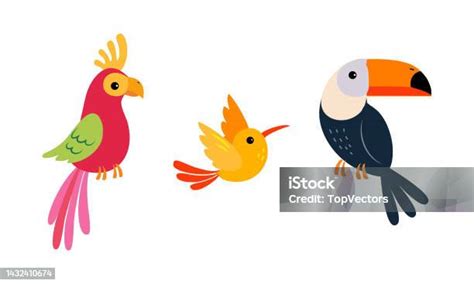 귀여운 야생 사파리 아프리카 조류 세트 앵무새 투칸 험민새 만화 벡터 일러스트 레이 션 귀여운에 대한 스톡 벡터 아트 및 기타 이미지 Istock