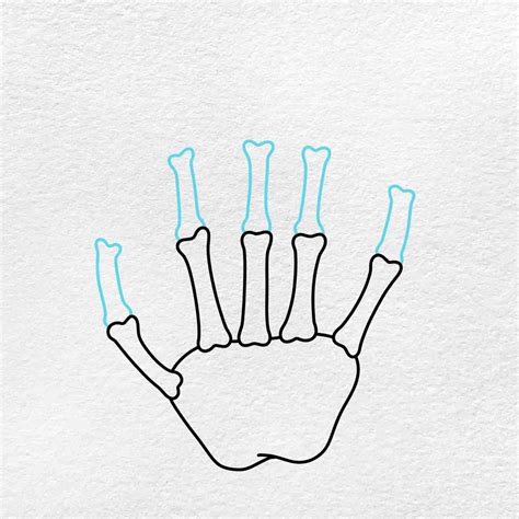How To Draw A Skeleton Hand Helloartsy