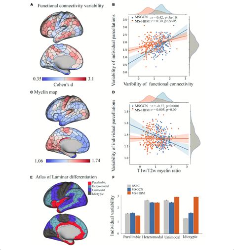Distribution Of Intersubject Variability In The Masked Download Scientific Diagram