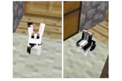 How To Make Name Tag In Minecraft Bedrock