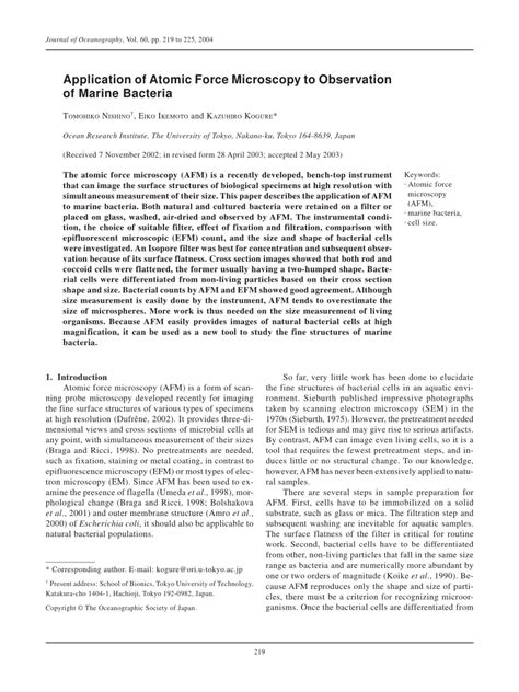 Pdf Application Of Atomic Force Microscopy To Observation Of Marine Bacteria