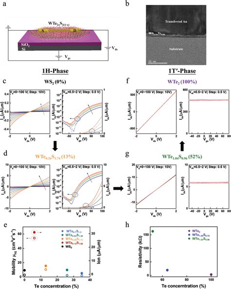 Transport Characterizations Of Back‐gated Fet Devices Based On 1h‐phase