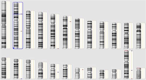 2p15 Microdeletion Syndrome Genotype Phenotype Correlation Tacg