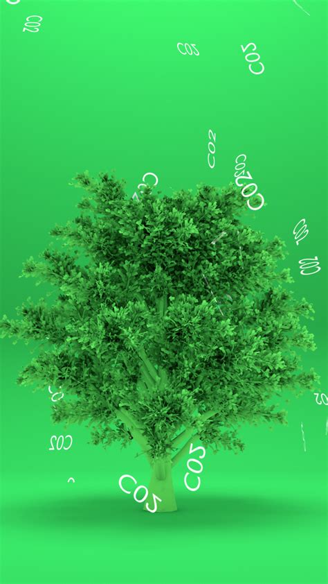The Impact Of Planting Trees On Air Quality Glover Nursery