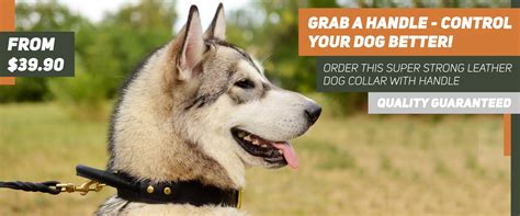 www.k9-equipment-store.com