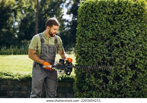 Cutting Tree Service Images Stock Photos D Objects Vectors