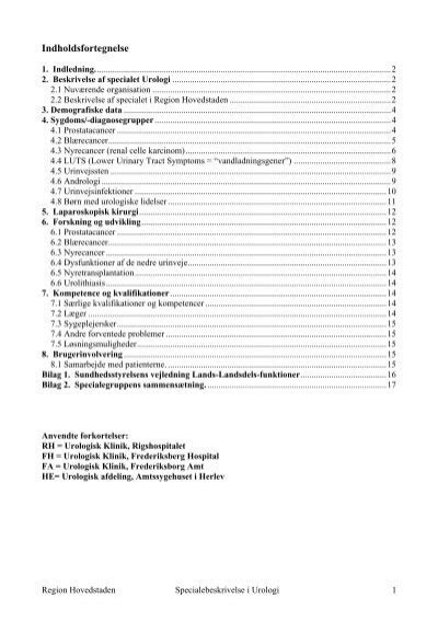 Indholdsfortegnelse 1 In