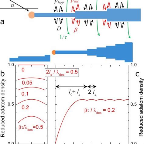 A Scheme Of The Bcf Model With Material Parameters The Flux Reaches Download Scientific