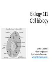 Exploring Cell Biology History Types And Functions Course Hero